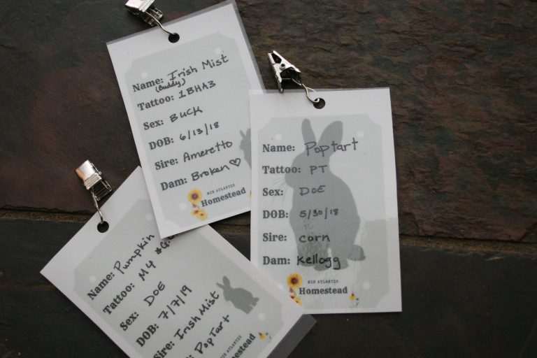 Rabbit Name Tags - Free Printable - Mid Atlantic Homestead
