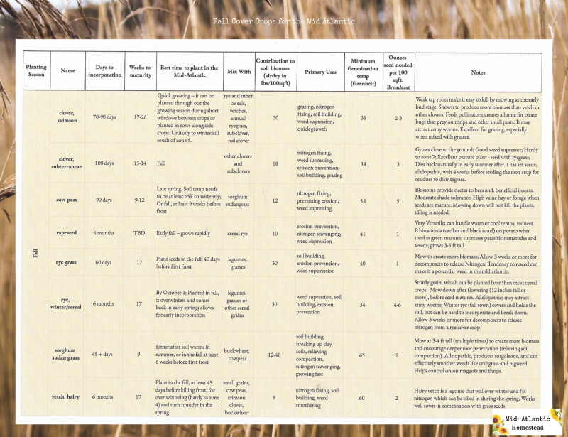 Which Cover Crop Should I Plant Now? & a Free Printable Chart - Mid ...